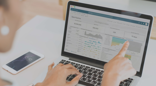 Salesforce Analytics Integration Partner, Consulting Services